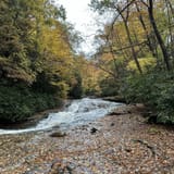 Meadow Run Trail, Pennsylvania - 1,063 Reviews, Map | AllTrails