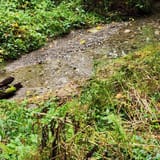 Stephenson Canyon Greenway, Washington - 71 Reviews, Map | AllTrails