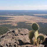 Red Butte Trail, Arizona - 218 Reviews, Map | AllTrails