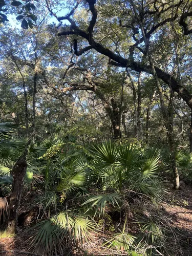 Best Hikes and Trails in Potts Preserve | AllTrails
