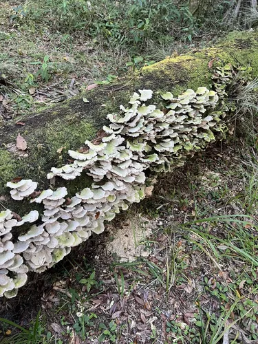 Best Hikes and Trails in Potts Preserve | AllTrails