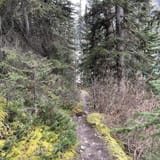 Fairview Lookout Loop, Alberta, Canada - 525 Reviews, Map | AllTrails