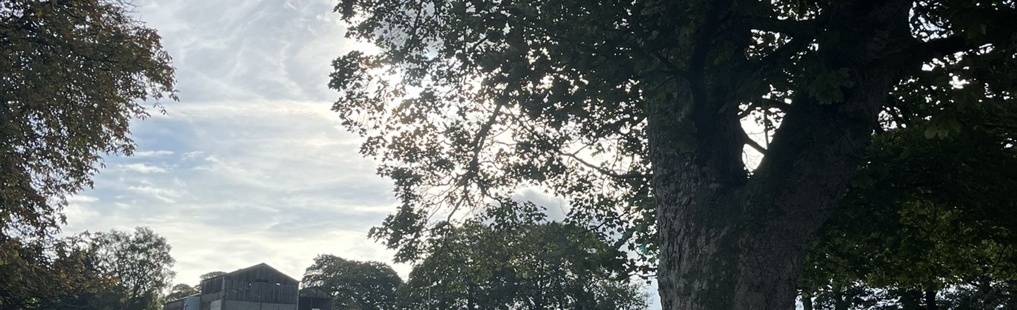 Old Pale Hill and Delamere Forest, Cheshire, England - 716 Reviews, Map ...