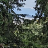 Seahurst Park Loop Trail, Washington - 773 Reviews, Map | AllTrails