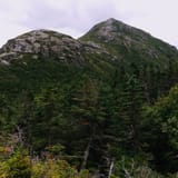 Mount Haystack Trail, New York - 491 Reviews, Map | AllTrails