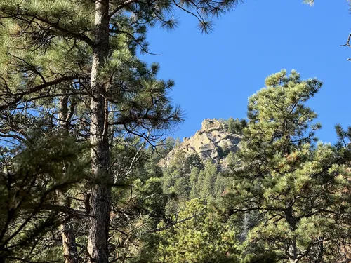Best Hikes and Trails in H.B. Wallace Reserve | AllTrails