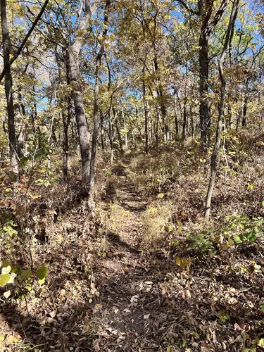 Best Hikes and Trails in Perry State Park | AllTrails