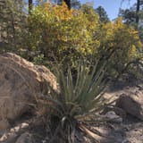 Acid Canyon, South Pueblo Bench, North Pueblo Bench and Ranch School ...