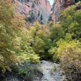 Spring Creek Canyon, Utah - 1,147 Reviews, Map | AllTrails