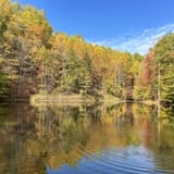 Mountain Tea State Forest Cabin and Pond, Indiana - 189 Reviews, Map ...