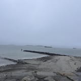 Deer Island Trail, Massachusetts - 648 Reviews, Map | AllTrails