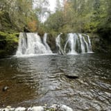 Beaver Falls, Washington - 281 Reviews, Map | AllTrails