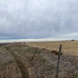 Wyndham-Carseland Provincial Park Trails, Alberta, Canada - 82 Reviews ...