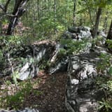 Moss Rock Preserve Trail, Alabama - 1,010 Reviews, Map | AllTrails