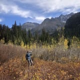 Lake Stuart Trail, Washington - 708 Reviews, Map | AllTrails