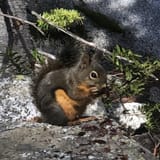 Lake Stuart Trail, Washington - 708 Reviews, Map | AllTrails