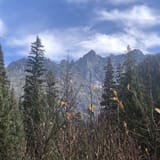 Lake Stuart Trail, Washington - 708 Reviews, Map | AllTrails