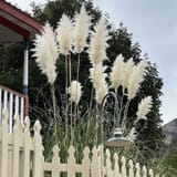 Bisbee 1000 (The Great Stair Climb), Arizona - 618 Reviews, Map | AllTrails