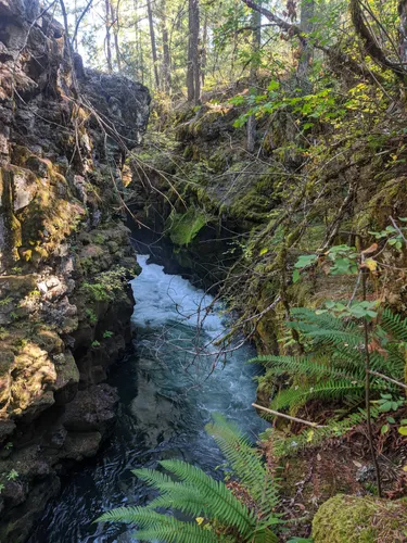 2023 Best Paved Trails in Prospect | AllTrails