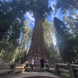 Circle Meadow Loop via Congress and General Sherman Tree Trail ...