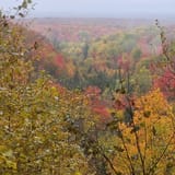 Jordan Valley Pathway, Michigan - 631 Reviews, Map | AllTrails