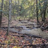 Jordan Valley Pathway, Michigan - 631 Reviews, Map | AllTrails