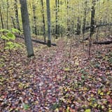 Jordan Valley Pathway, Michigan - 631 Reviews, Map | AllTrails
