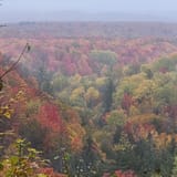 Jordan Valley Pathway, Michigan - 631 Reviews, Map | AllTrails