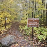 Jordan Valley Pathway, Michigan - 631 Reviews, Map | AllTrails