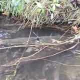 Jordan Valley Pathway, Michigan - 631 Reviews, Map | AllTrails