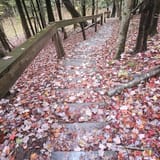Jordan Valley Pathway, Michigan - 631 Reviews, Map | AllTrails