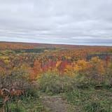 Jordan Valley Pathway, Michigan - 719 Reviews, Map | AllTrails