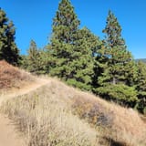 Canyon Loop, Colorado - 1,282 Reviews, Map | AllTrails