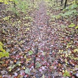 Jordan Valley Pathway, Michigan - 721 Reviews, Map | AllTrails