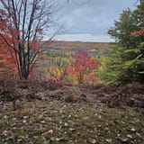 Jordan Valley Pathway, Michigan - 726 Reviews, Map | AllTrails