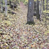 Jordan Valley Pathway, Michigan - 730 Reviews, Map | AllTrails