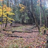 Jordan Valley Pathway, Michigan - 730 Reviews, Map | AllTrails