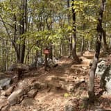 Pinnacle Mountain Base Trail Loop, Arkansas - 856 Reviews, Map | AllTrails