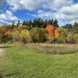 Quaking Bog Loop, Minnesota - 465 Reviews, Map | AllTrails