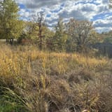 Quaking Bog Loop, Minnesota - 396 Reviews, Map | AllTrails