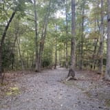 Dorey Park Trails, Virginia - 194 Reviews, Map | AllTrails