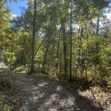 Dorey Park Trails, Virginia - 194 Reviews, Map | AllTrails