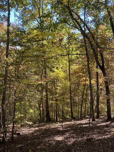 Best Hikes and Trails in Bryant Creek State Park | AllTrails