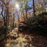 Graybeard Trail, North Carolina - 1,733 Reviews, Map | AllTrails