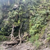 Cecilia Waterfall via Cecilia Forest, Western Cape, South Africa ...