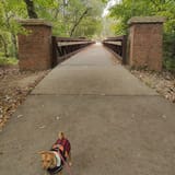 Anchorage Trail, Kentucky - 603 Reviews, Map | AllTrails