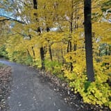 Winchell Trail, Minnesota - 703 Reviews, Map | AllTrails