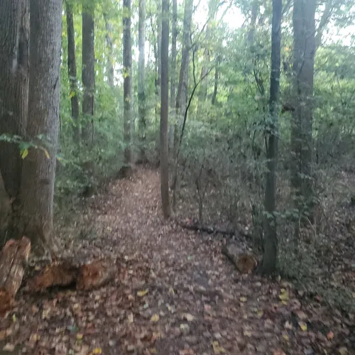 Best Hikes and Trails in The Preserve at Robbins Park | AllTrails