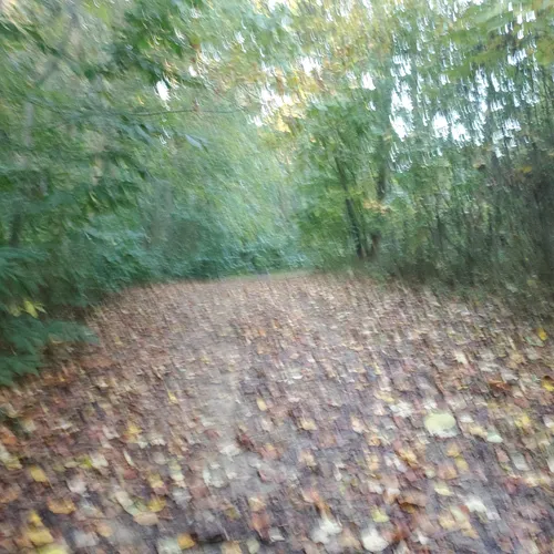 Best Hikes and Trails in The Preserve at Robbins Park | AllTrails