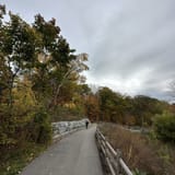 Moore Park Ravine Trail, Ontario, Canada - 1,212 Reviews, Map | AllTrails